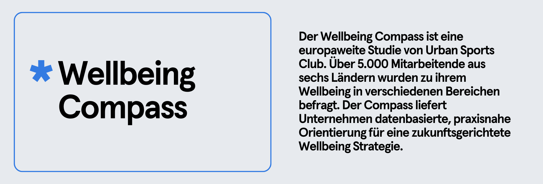 Wellbeing Compass 2025 – Eine Urban Sports Club Studie